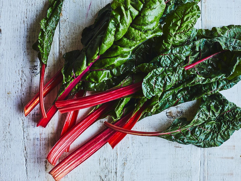 Bette à carde | Mordu