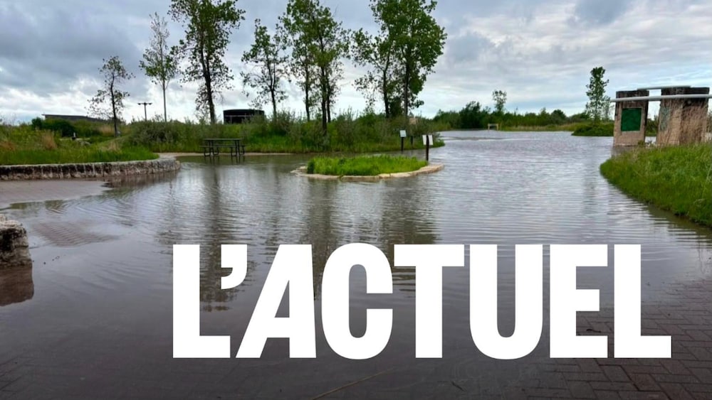 Une inondation « record » ferme temporairement les portes du marais Oak ...