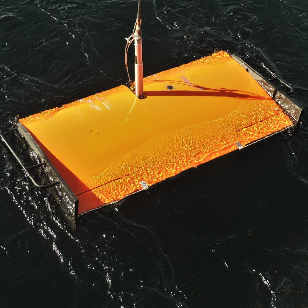 Les algues de l’île d’Anticosti, des trésors sous-marins | Radio-Canada.ca