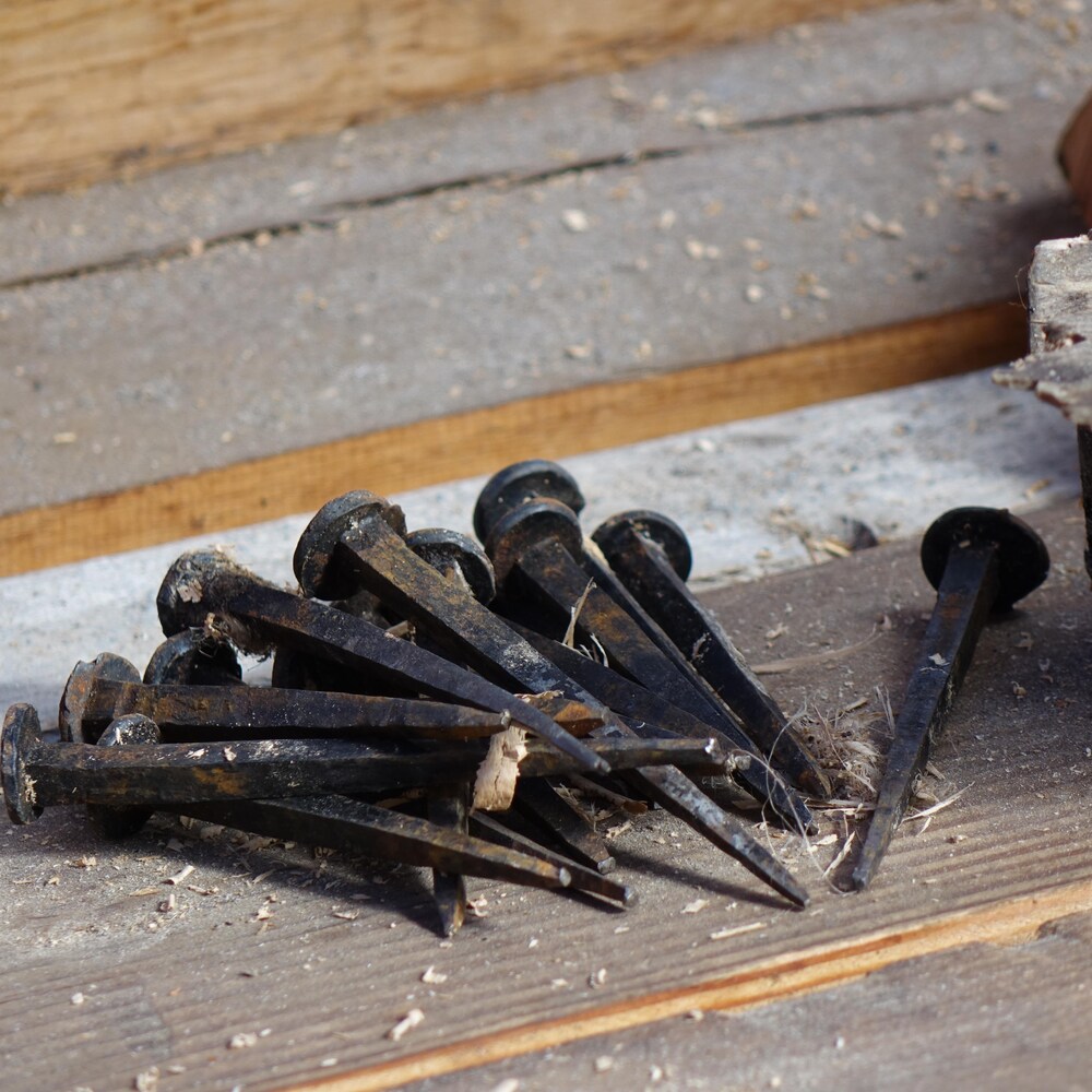 Le génie maritime des Basques refait surface grâce à des chercheurs ...