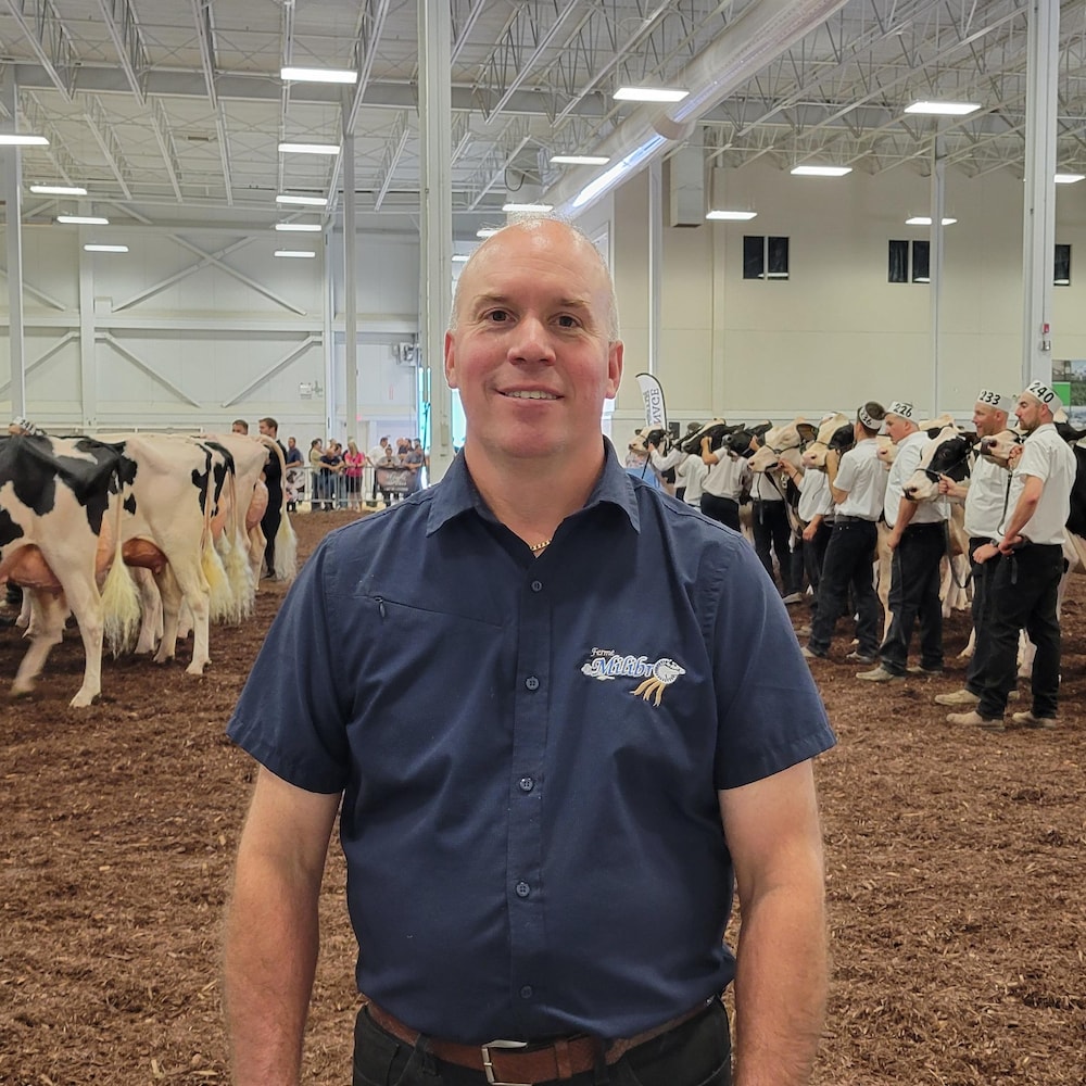 Une beauté bovine | Radio-Canada.ca