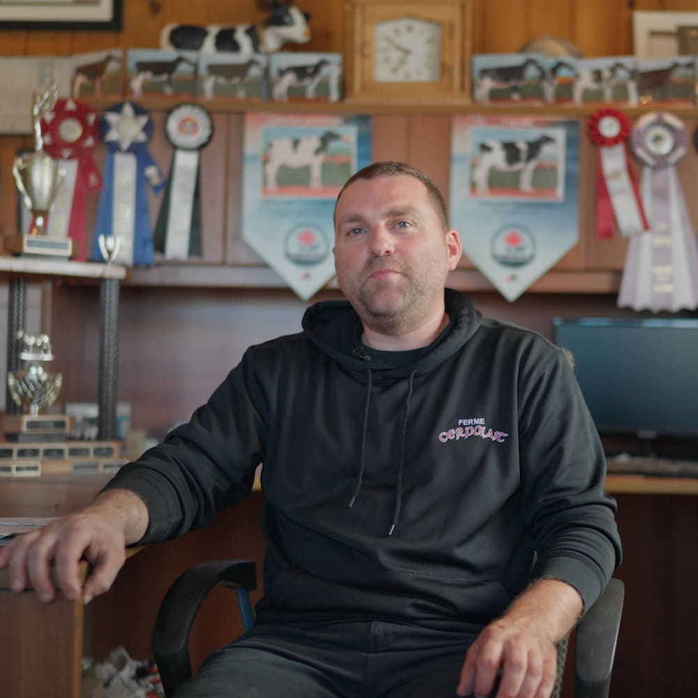 Une beauté bovine | Radio-Canada.ca