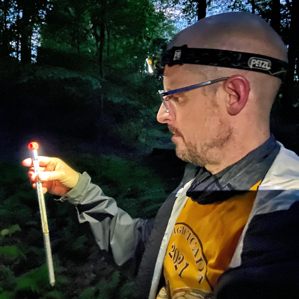 Des cigales par milliards dans l’est des États-Unis | Radio-Canada.ca