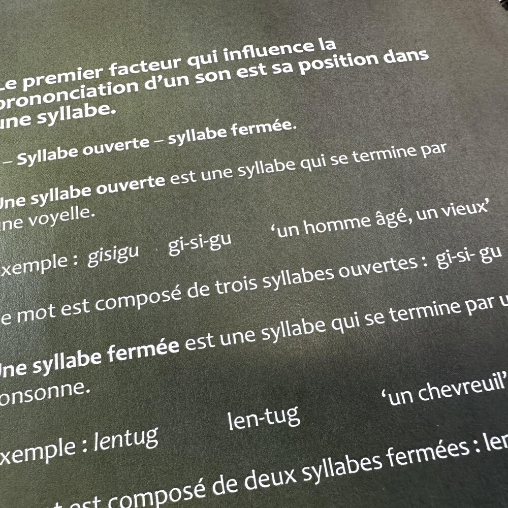 Se réapproprier la langue mi’gmaw, un mot à la fois | La Décennie ...