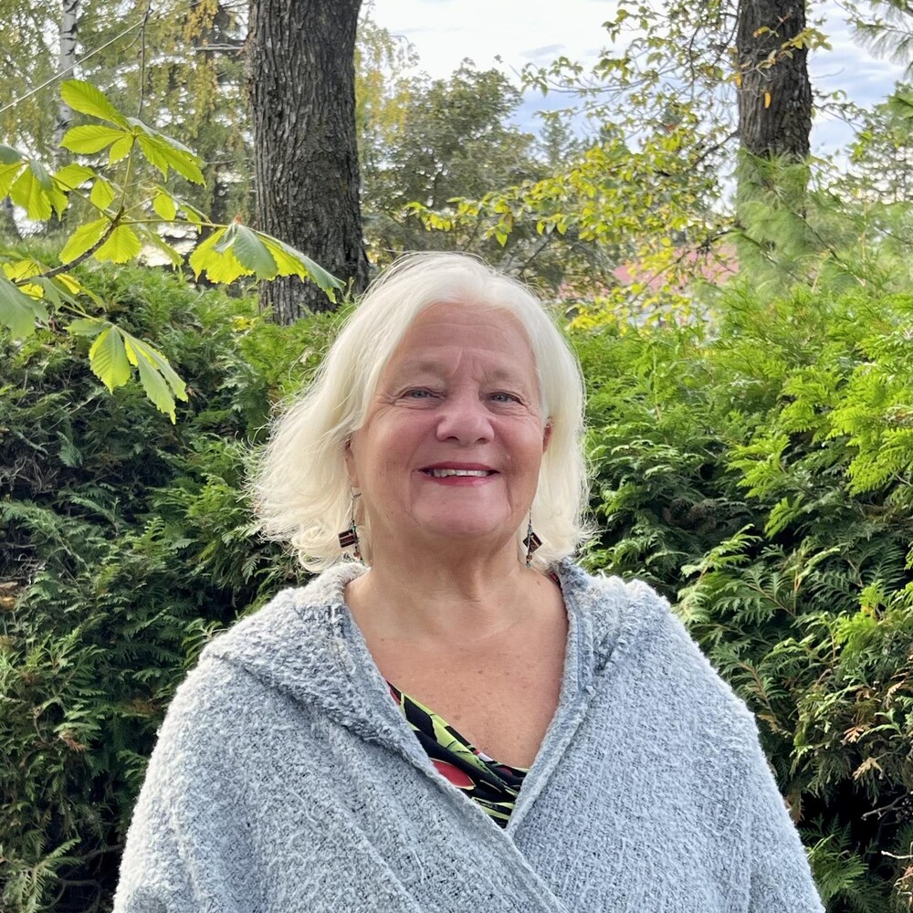 Le PQ, l’Est-du-Québec et une histoire de châteaux forts | Radio-Canada.ca