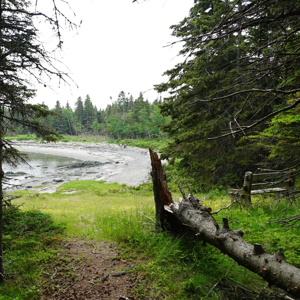 Lever l’ancre, après 32 étés sur l’île aux Basques | Radio-Canada.ca