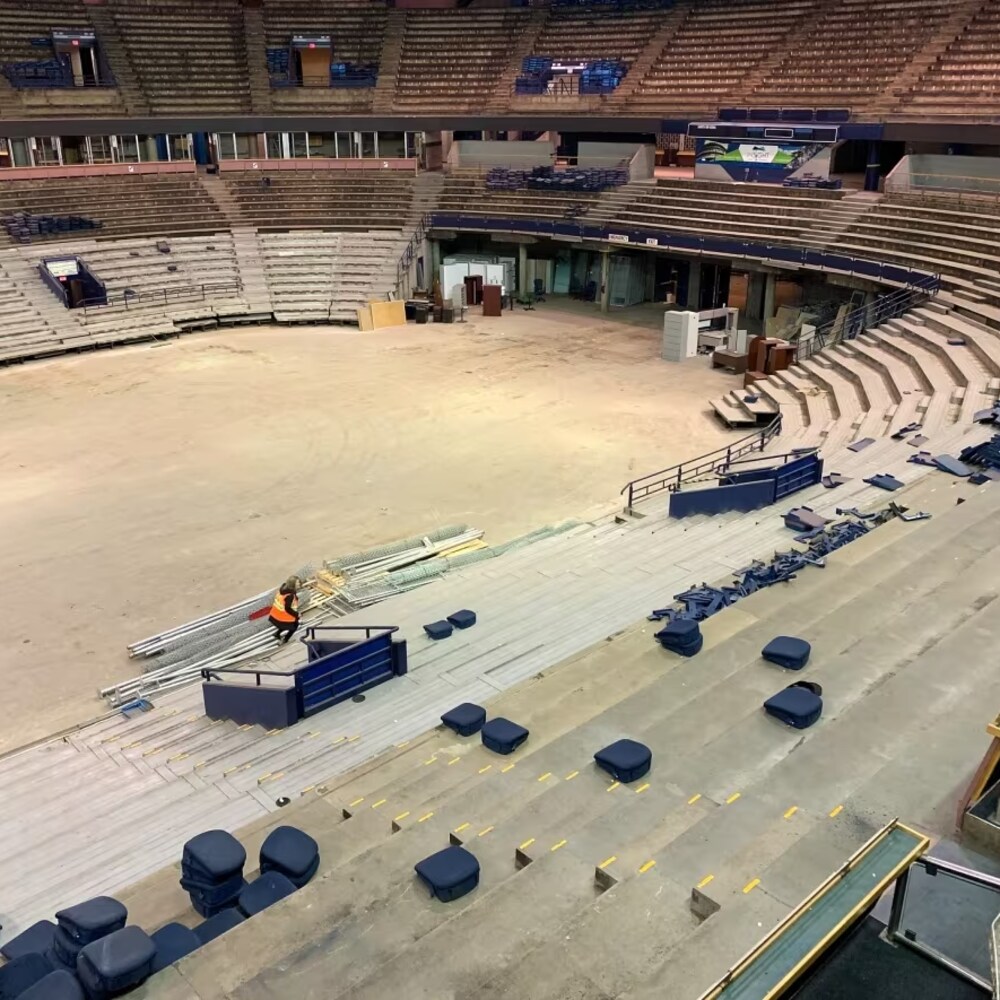 Aréna des Oilers : des chauves-souris et de vieux coussins | Radio ...