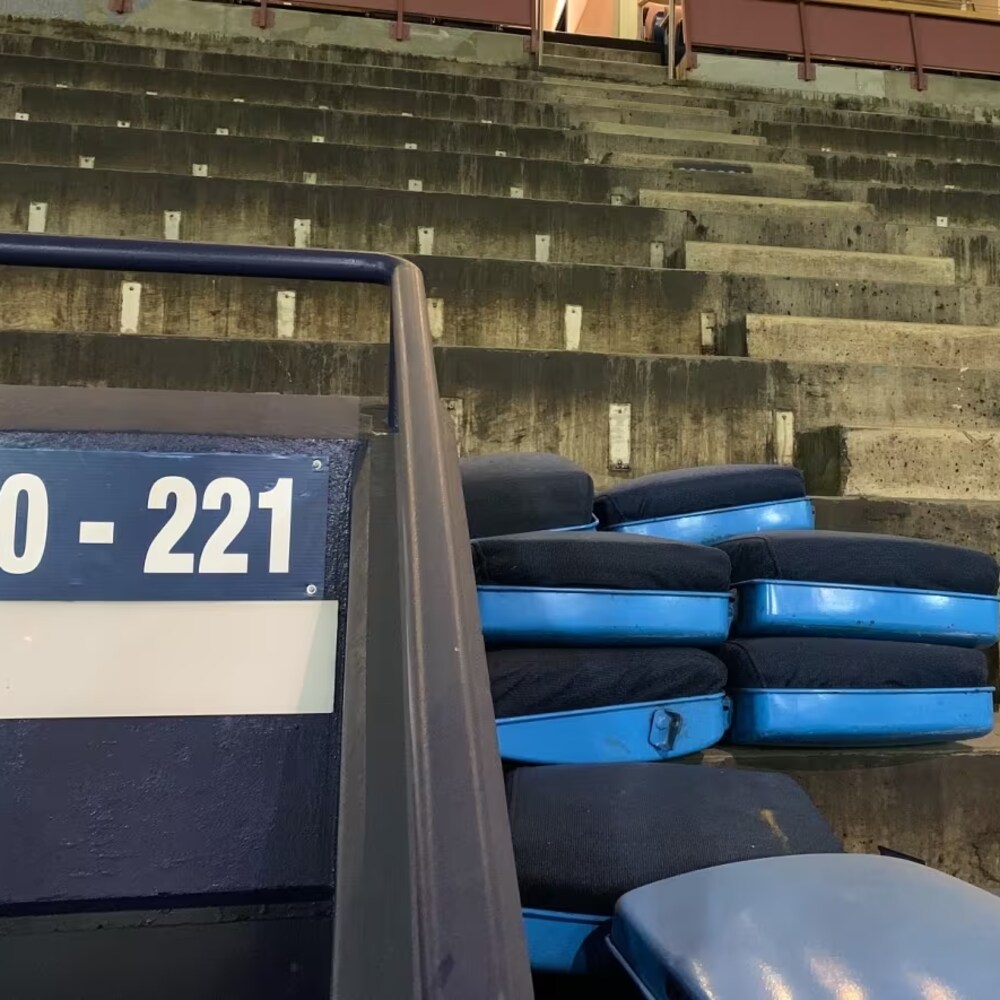 Aréna des Oilers : des chauves-souris et de vieux coussins | Radio ...