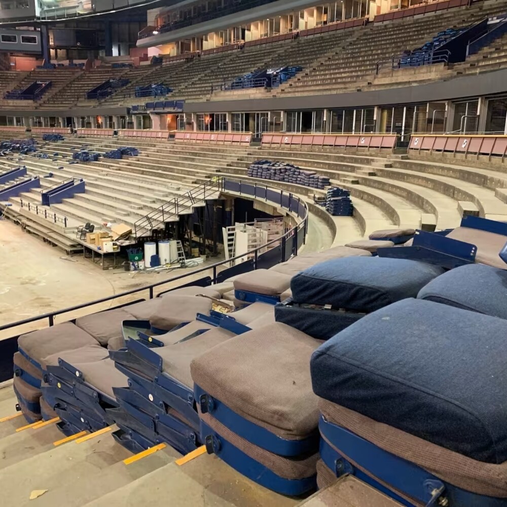 Aréna des Oilers : des chauves-souris et de vieux coussins | Radio ...