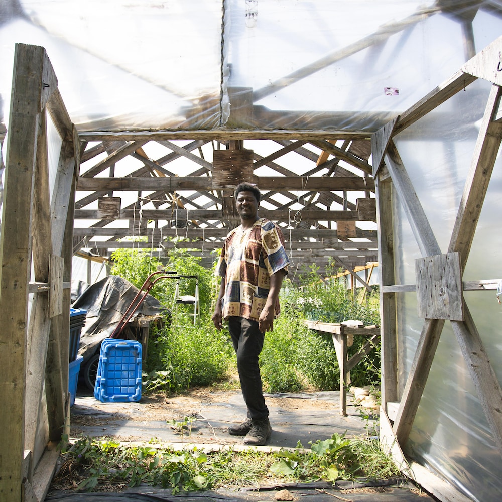L’agriculteur qui fait pousser l’Afrique au Québec | Radio-Canada.ca