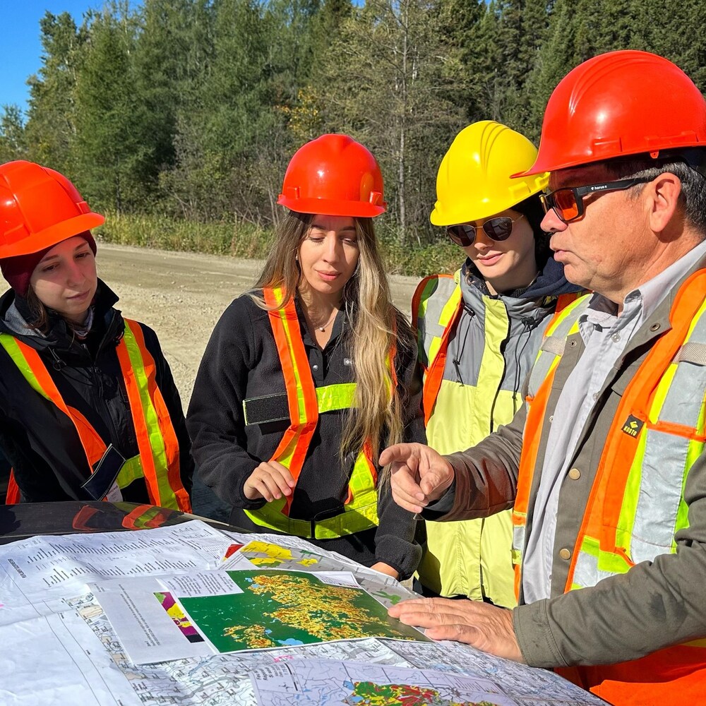 Le secteur forestier québécois n’est pas sorti du bois | Radio-Canada.ca