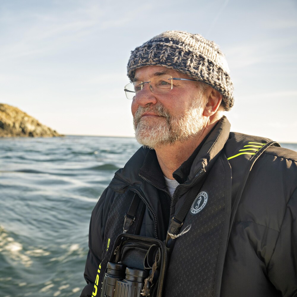 L’ornithologue optimiste du Havre-de-Victoria | Radio-Canada.ca