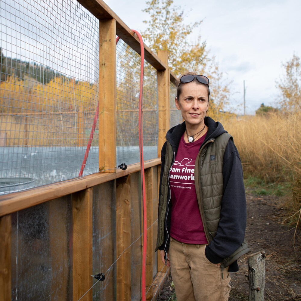 Le génie du castor comme outil contre les feux | Radio-Canada.ca