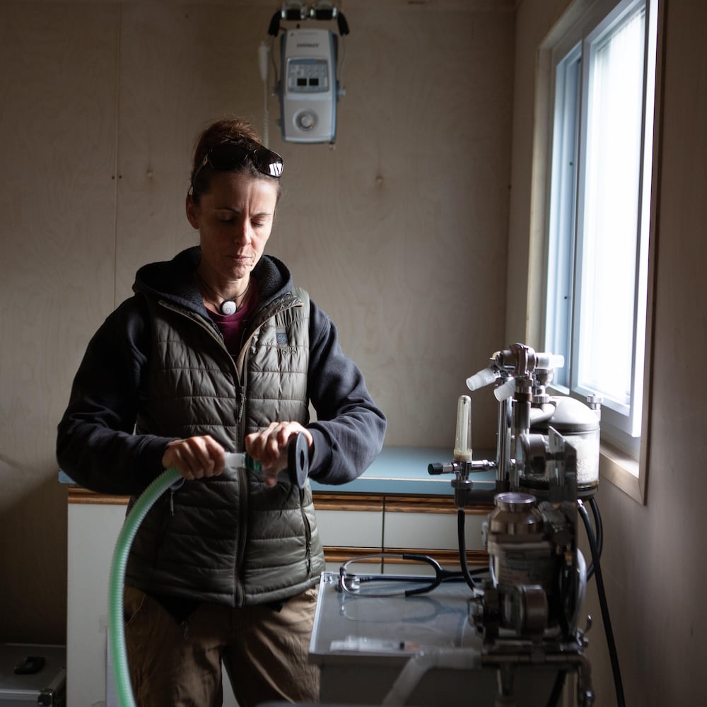 Le génie du castor comme outil contre les feux | Radio-Canada.ca