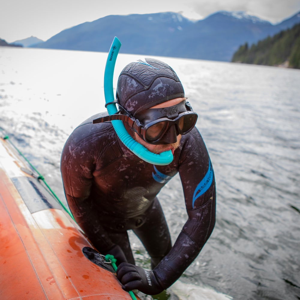 Le hareng, cœur battant de l’océan | Radio-Canada.ca