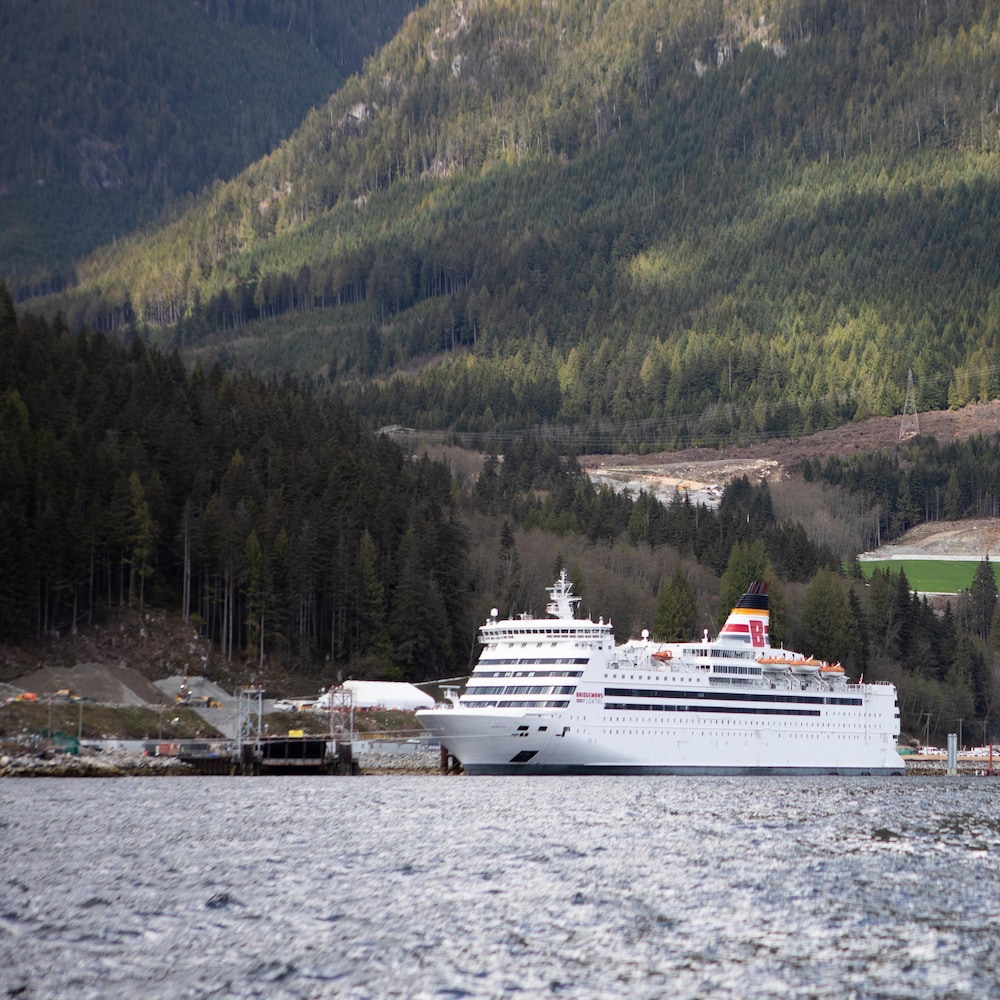 Le hareng, cœur battant de l’océan | Radio-Canada.ca