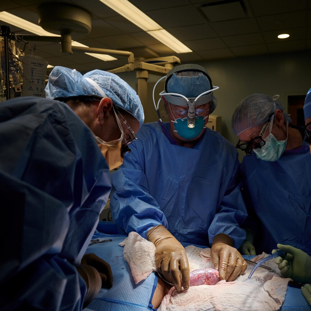 La science en 2021 | Radio-Canada.ca