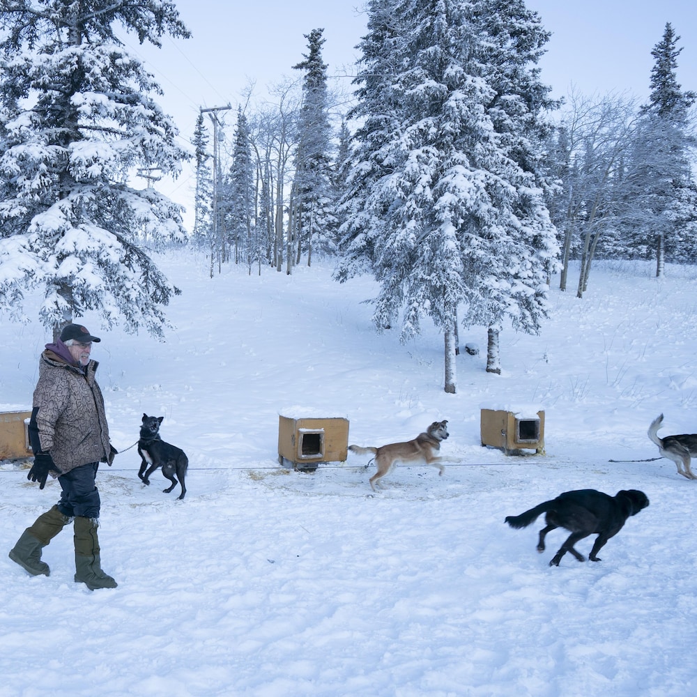 Alaska, USA : le corbeau et le pistolet | Radio-Canada.ca