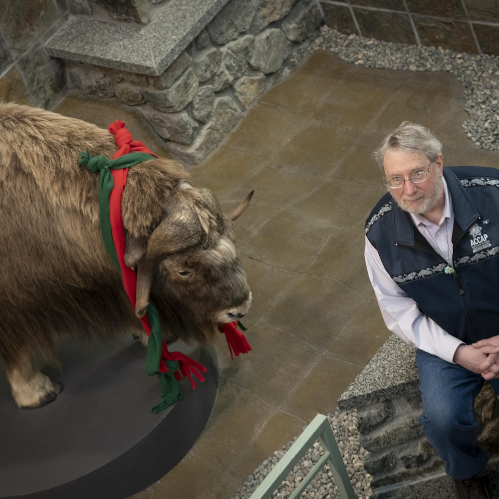 Anchorage, Alaska, USA : Quand les bélugas sonnent l’alarme | Radio ...