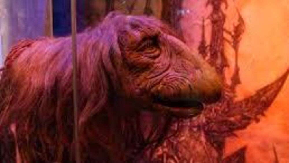 Les Muppets, ou l’art (un peu) perdu des marionnettes au cinéma | ICI ...
