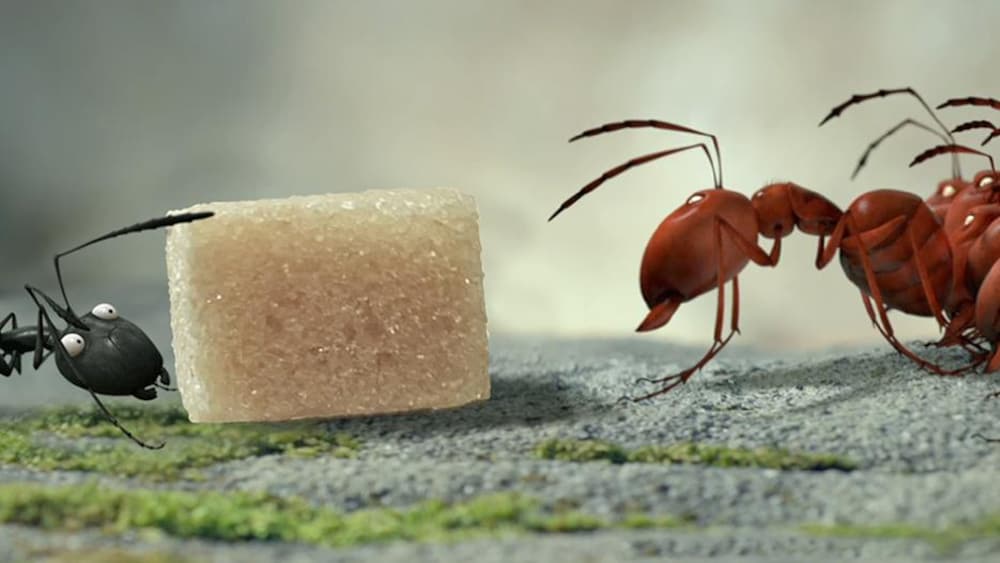 Minuscule et ces insectes pas si bêtes au cinéma | ICI Télé | Radio-Canada