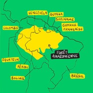 La D forestation De L Amazonie Ralentit Au Br sil MAJ Radio Canada La D forestation De L Amazonie Ralentit Au Br sil MAJ Radio Canada