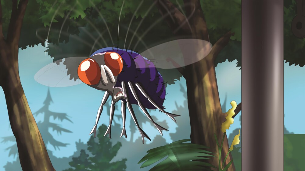 La découverte jeunesse de la semaine : Tshakapesh | ICI Télé | Radio-Canada