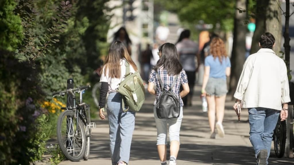 International student visas for Canada plummet | Radio-Canada.ca