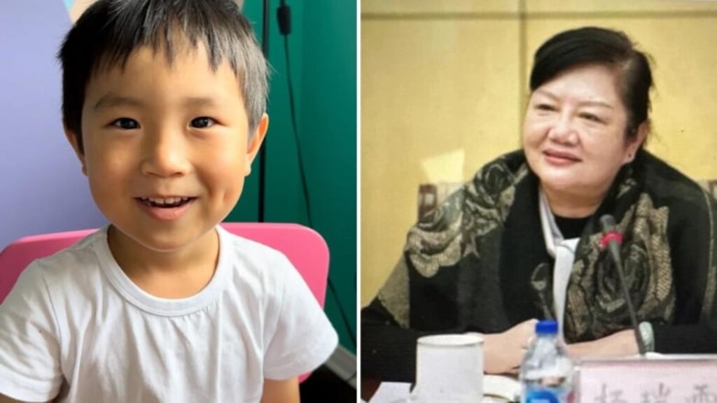 Amber Alert issued for 5-year-old Quebec boy who police say could be in ...