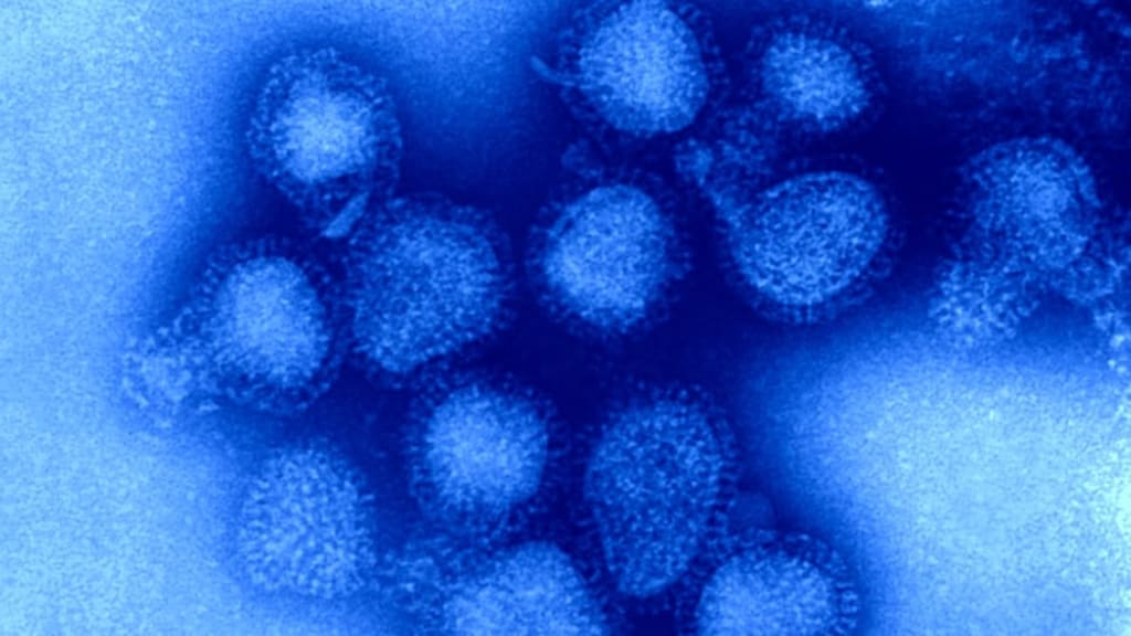 Canada could face ‘worst kind’ of flu season as experts warn evolving ...