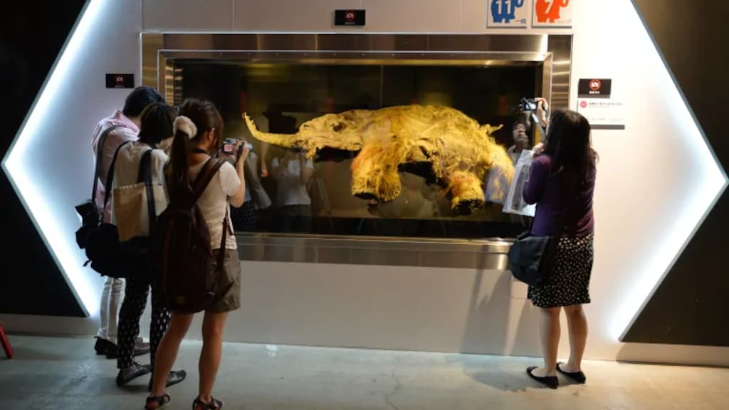 Thawing Arctic will reveal more mummified creatures and bring new risks ...