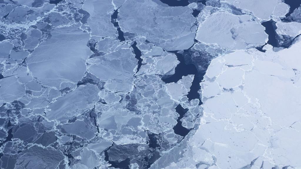 Arctic could be ice-free as early as 2030s says study | Radio-Canada.ca