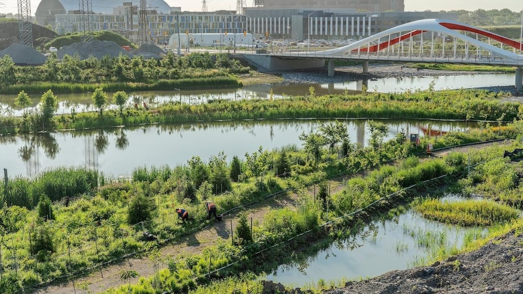 In Canada’s largest city, a river returns to its roots | Radio-Canada.ca