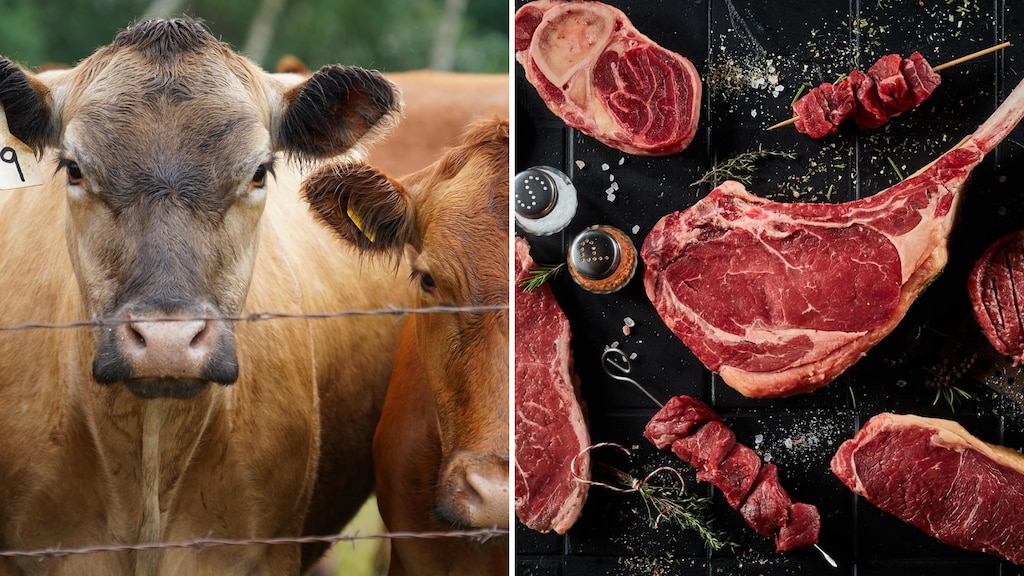 Beef prices are soaring. Here’s why Canada is facing record-low cattle ...