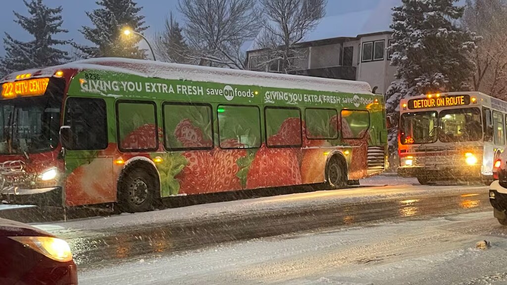 Calgary airport suspends flights, traffic snarled as snowstorm hits ...