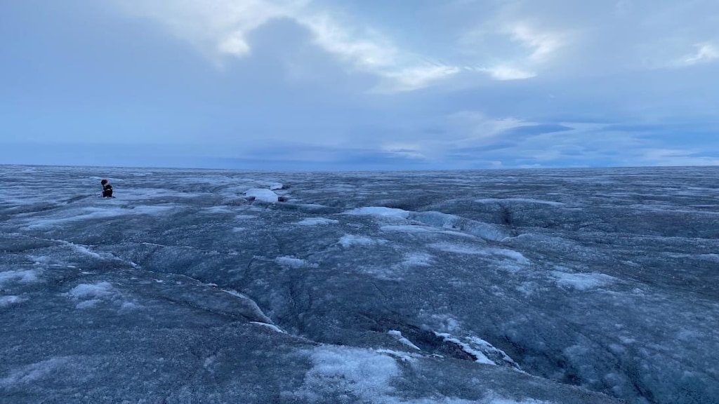 La calotte glaciaire du Groenland regorge de micro-organismes | Radio ...