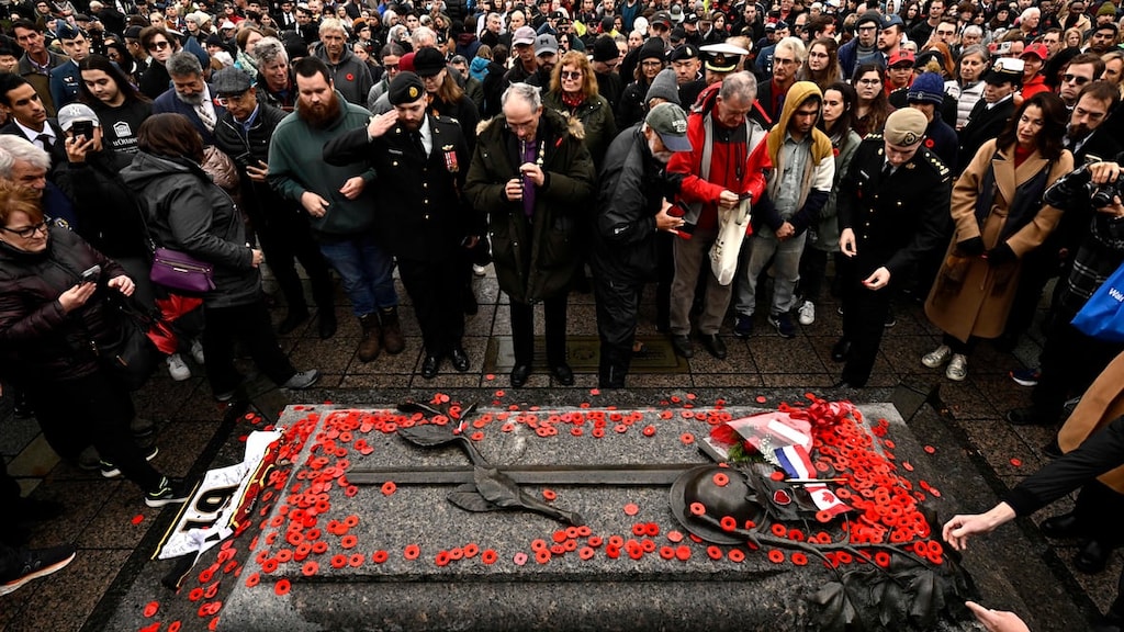 Canada’s Unknown Soldier in 2025: Where science collides with sacred ...