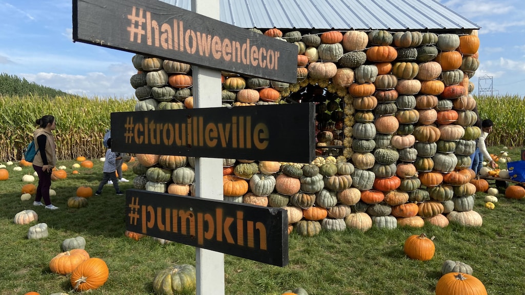 [Reportage] Bienvenue à Citrouilleville | Radio-Canada.ca