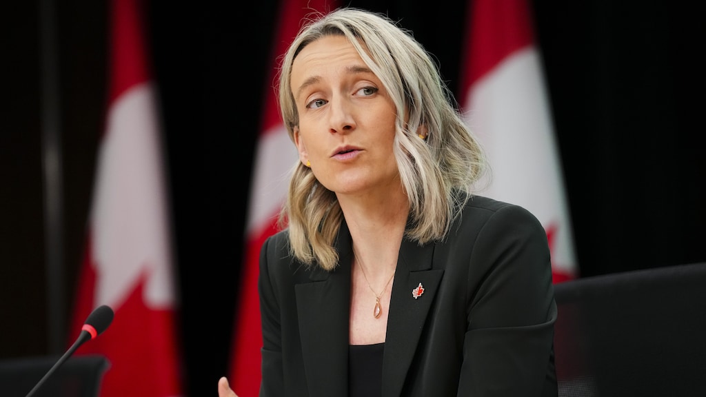 Canada’s chief public health officer delivers updates on hantavirus ...