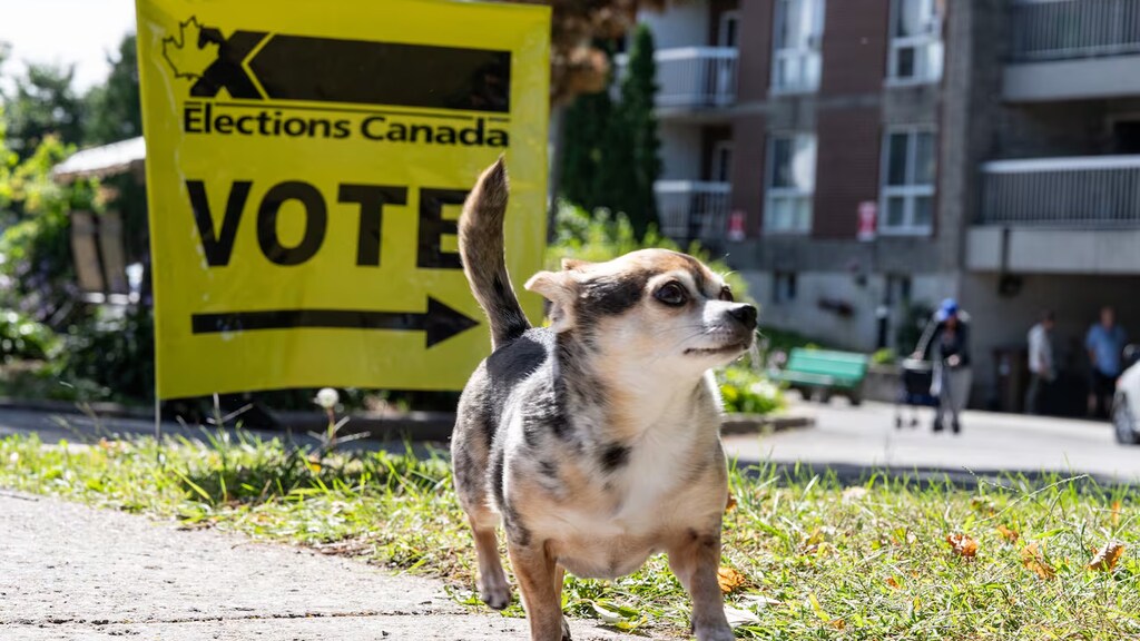 Voters head to the polls in 2 federal byelections that will be closely ...