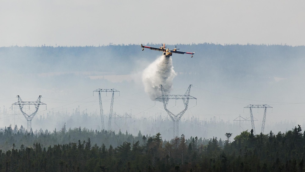 Feds lease 10 new firefighting aircraft as wildfire season gets ...