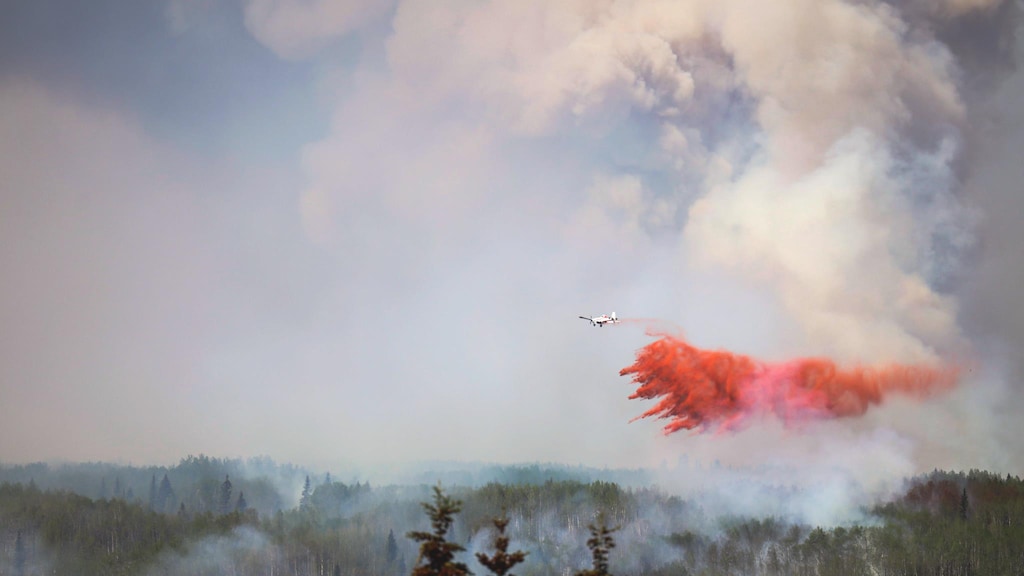 Destroyed homes, infrastructure among wildfire losses in northern ...