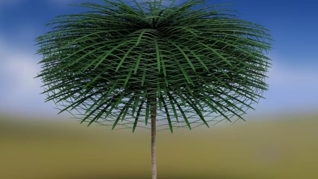 Weird ancient tree from before dinosaurs found in Canadian quarry ...