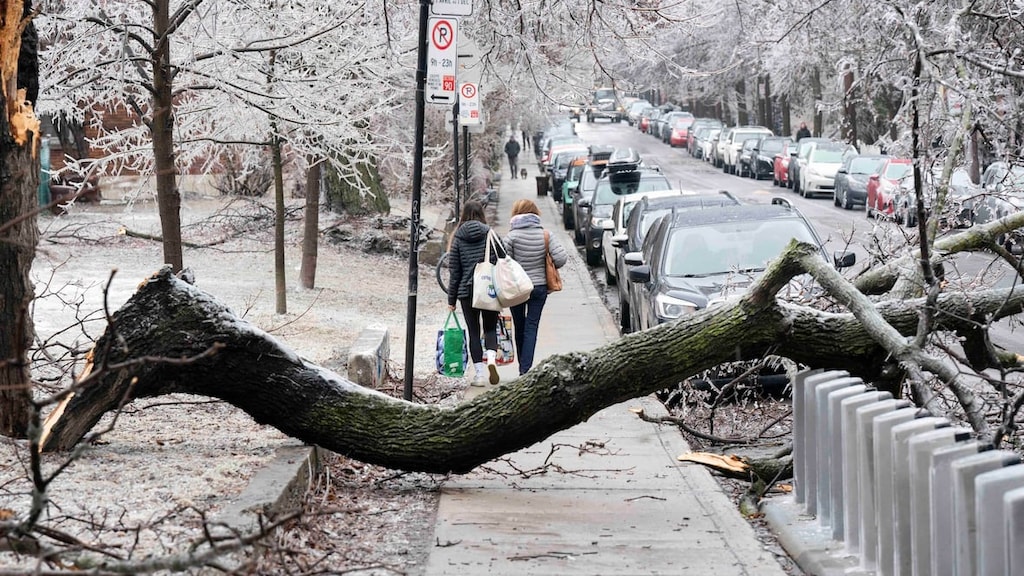 Environment Canada warns of ’potentially critical’ freezing rain event ...