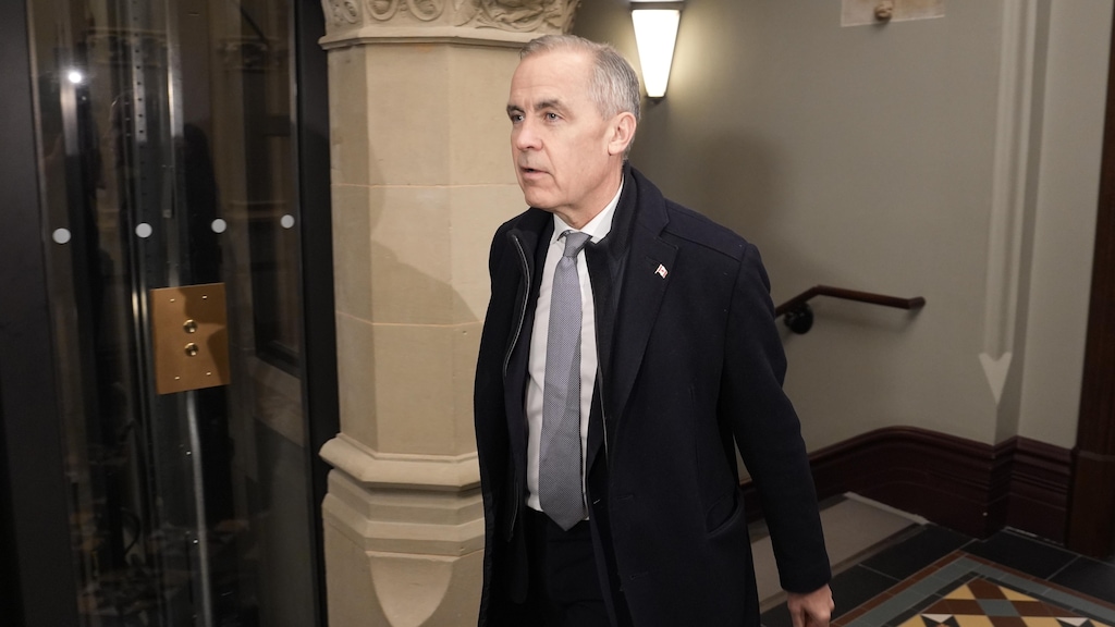 Carney back in Ottawa to convene Canada-U.S. relations committee as ...