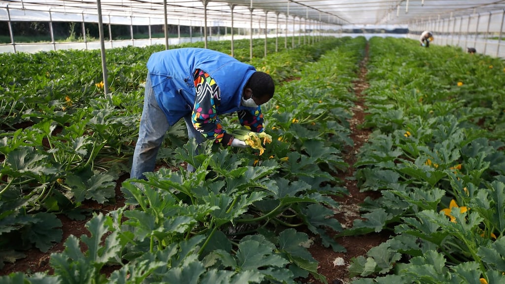 4 migrant farm workers in Italy burned to death in car, according to ...