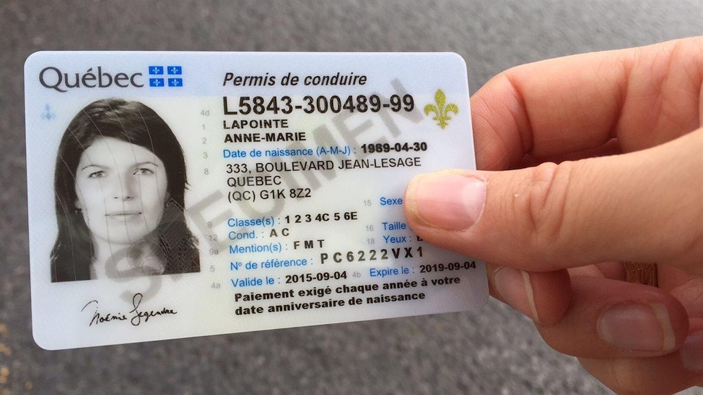 Didn’t get a notice to renew your Quebec driver’s licence? You're not ...