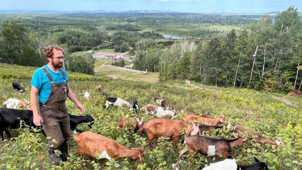 Why a cellist with some of Canada’s most prestigious orchestras is ...