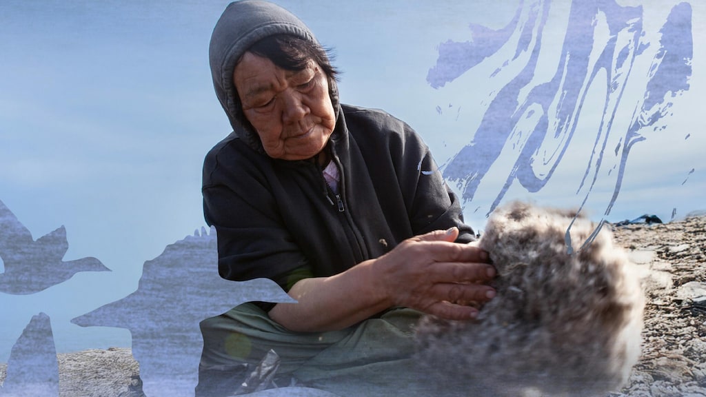 Saber ancestral e ingenio inuit celebrados en el Museo Canadiense de la ...