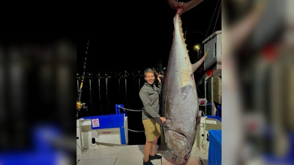 Quebec fish market reels in customers with 385-kg tuna — its biggest ...